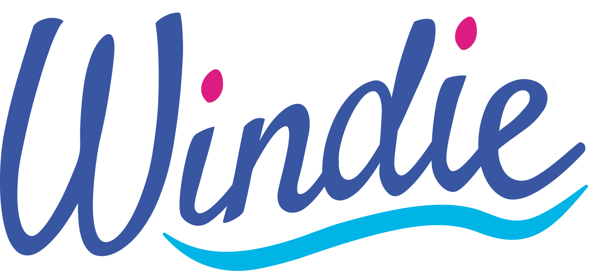 windie timer Pro - windie360